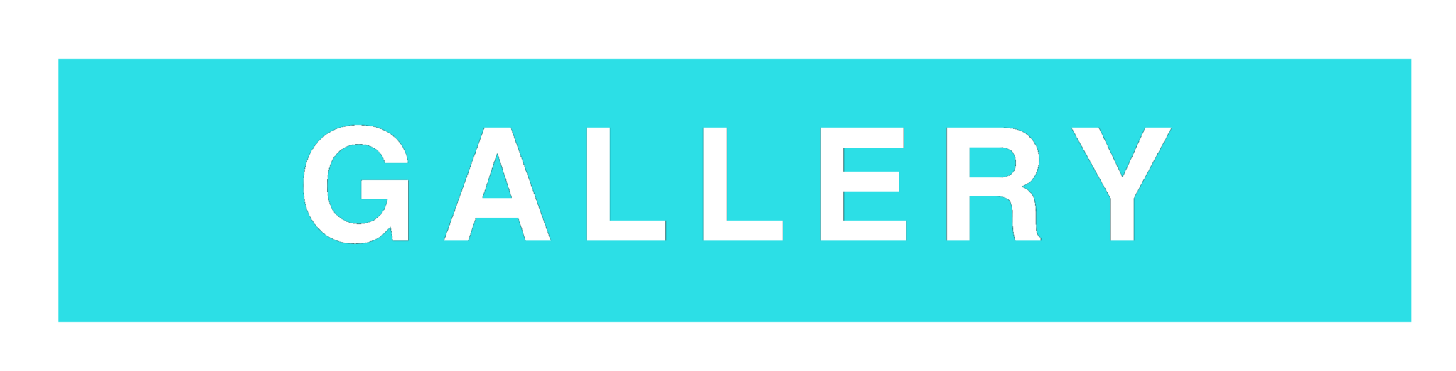 Gallery – Shaked Lab